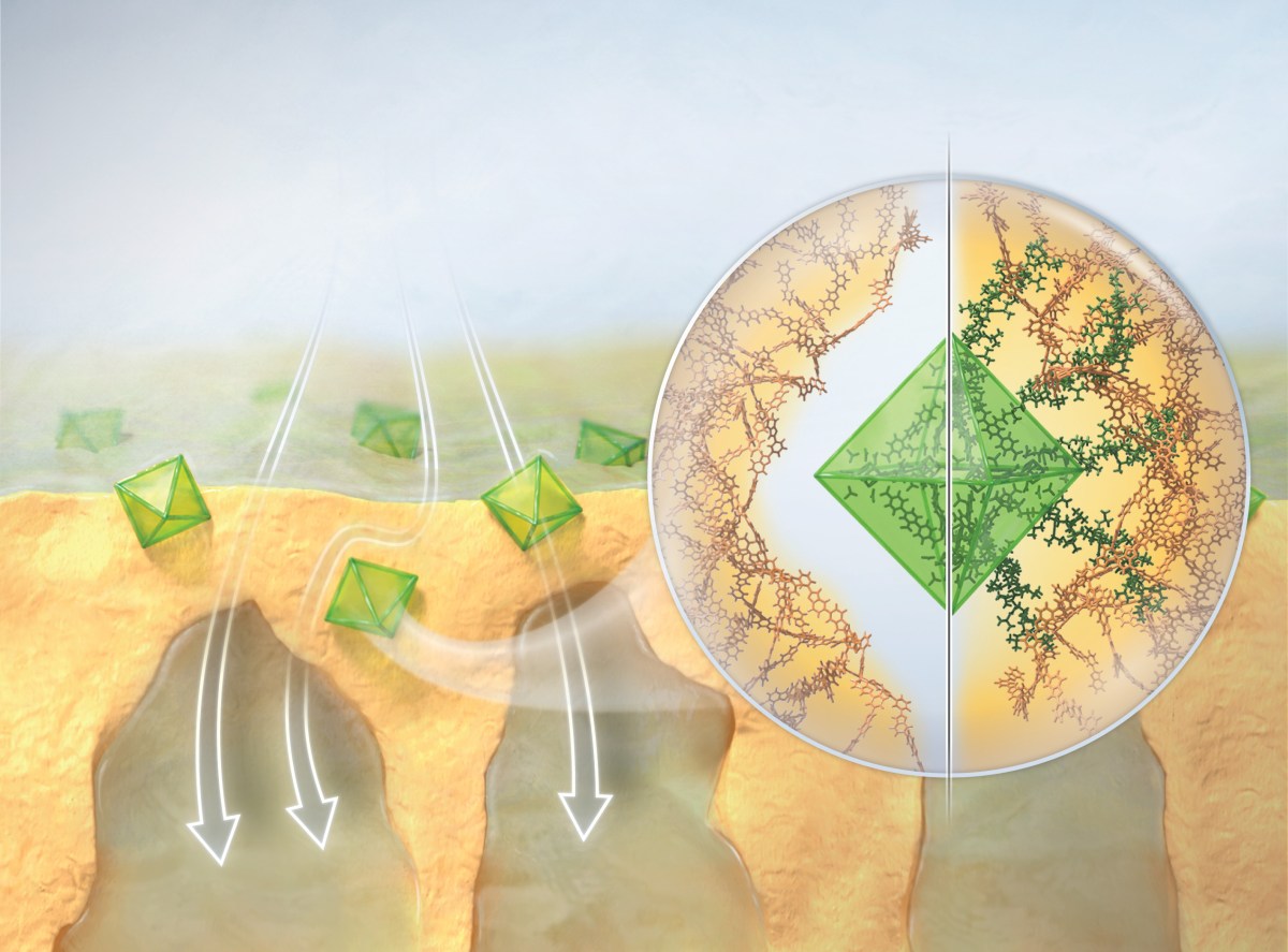 Featured Content: Front cover for JMCA