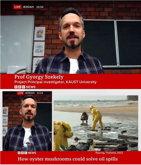 Featured Content: BBC News interview